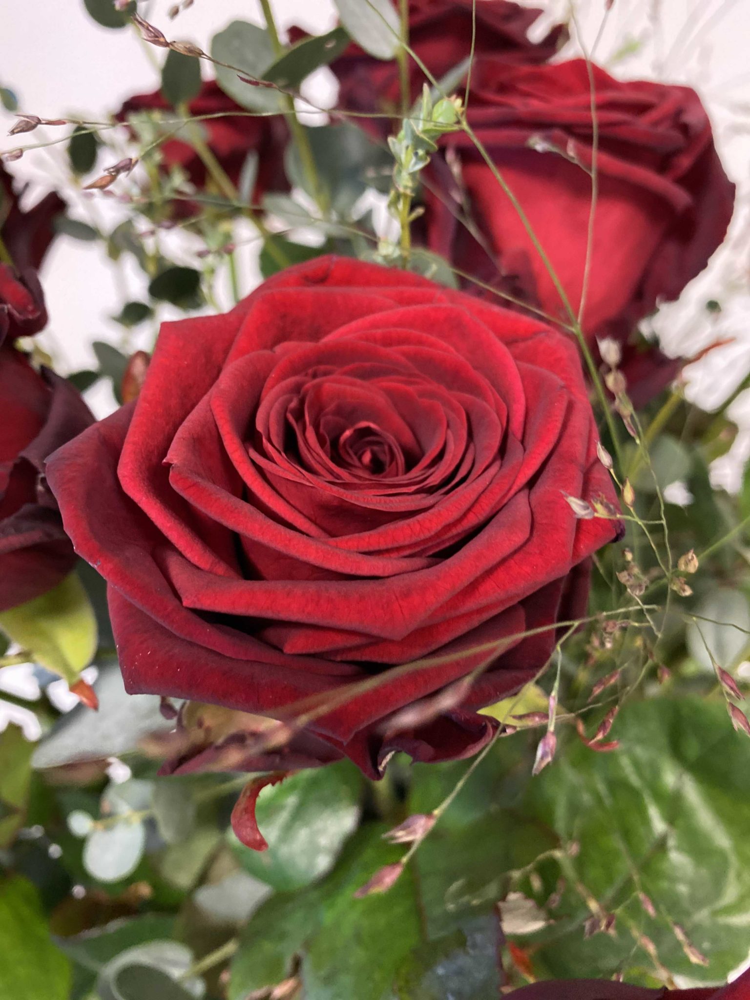 Livraison Bouquet de 12 roses rouges : Amour à Saint-Brieuc et Côtes d ...