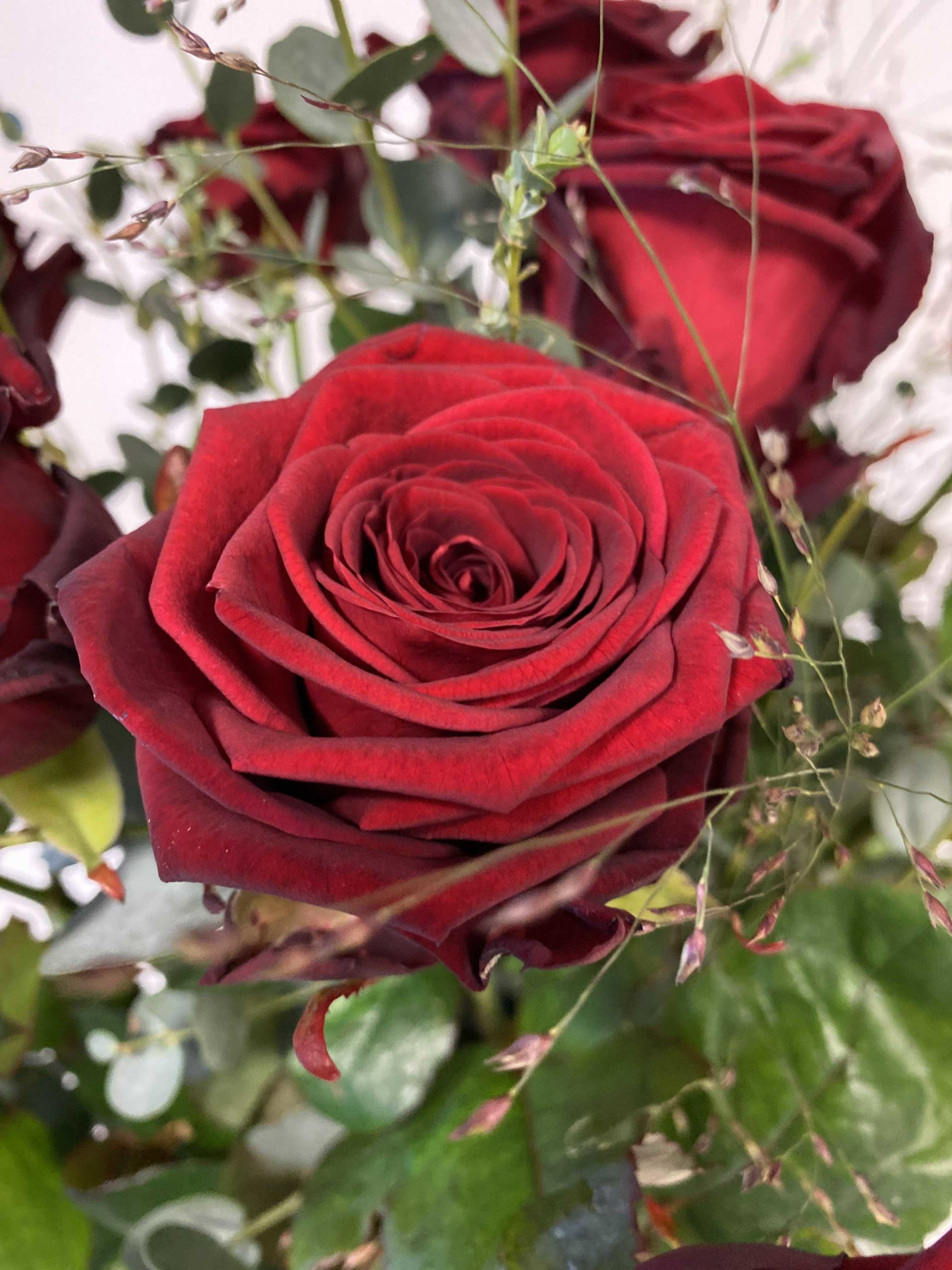 Livraison Bouquet de 12 roses rouges : Amour à Saint-Brieuc et Côtes d ...